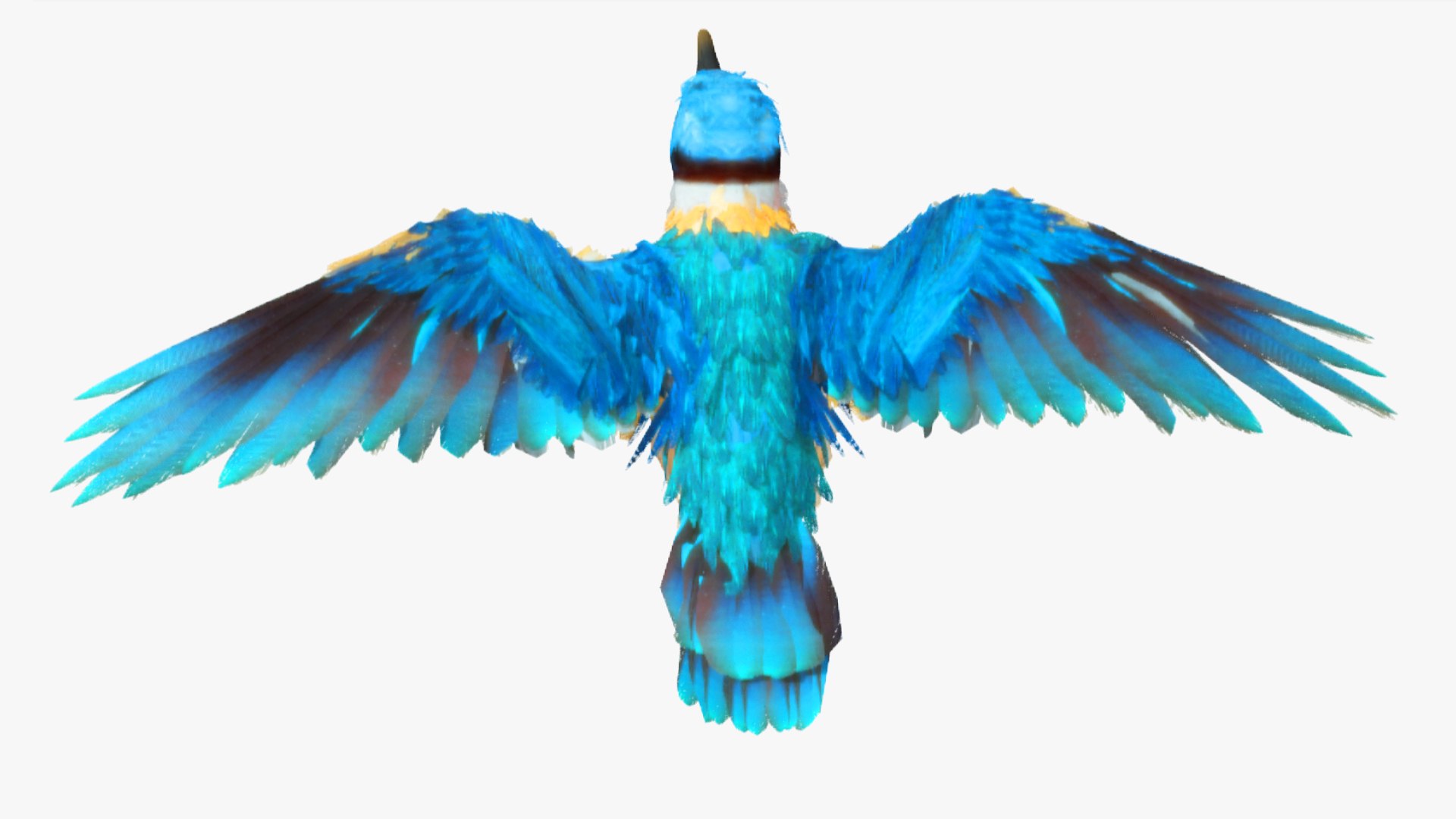 Bird Animation 3D Model - TurboSquid 2319824