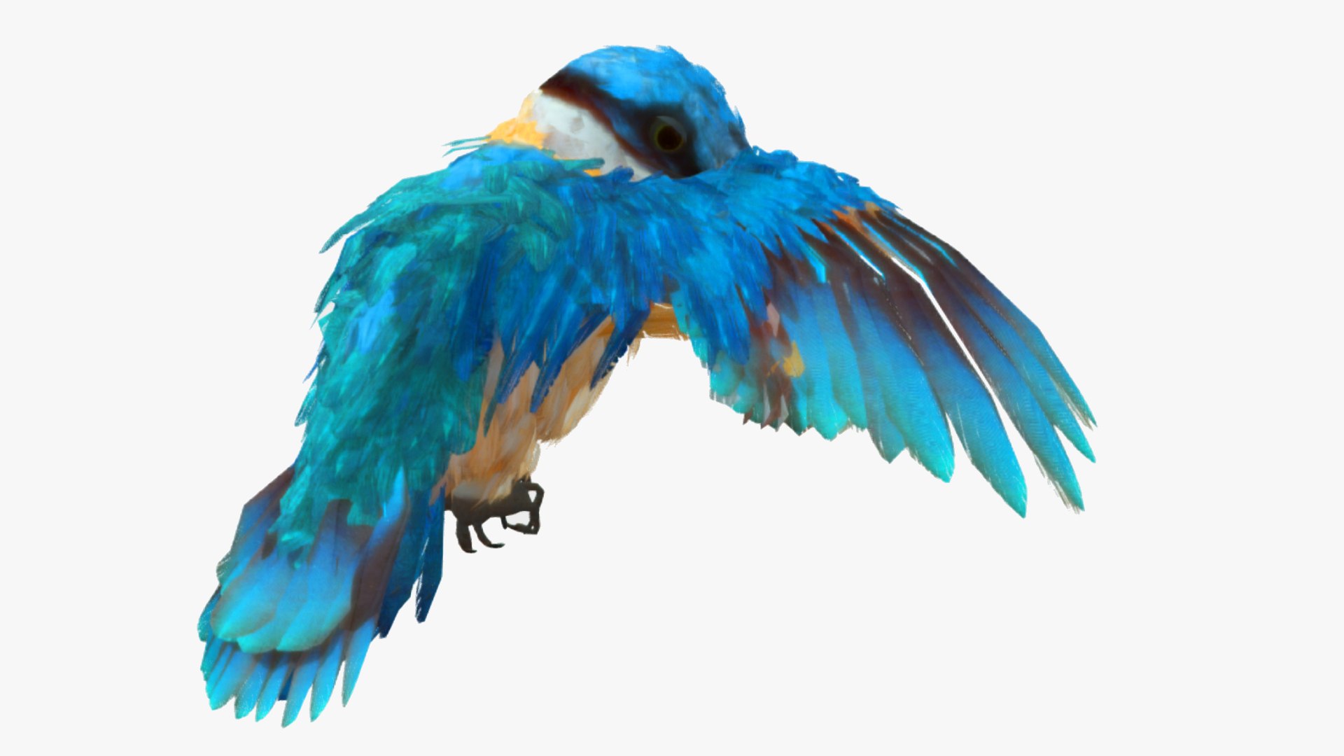 Bird Animation 3D Model - TurboSquid 2319824