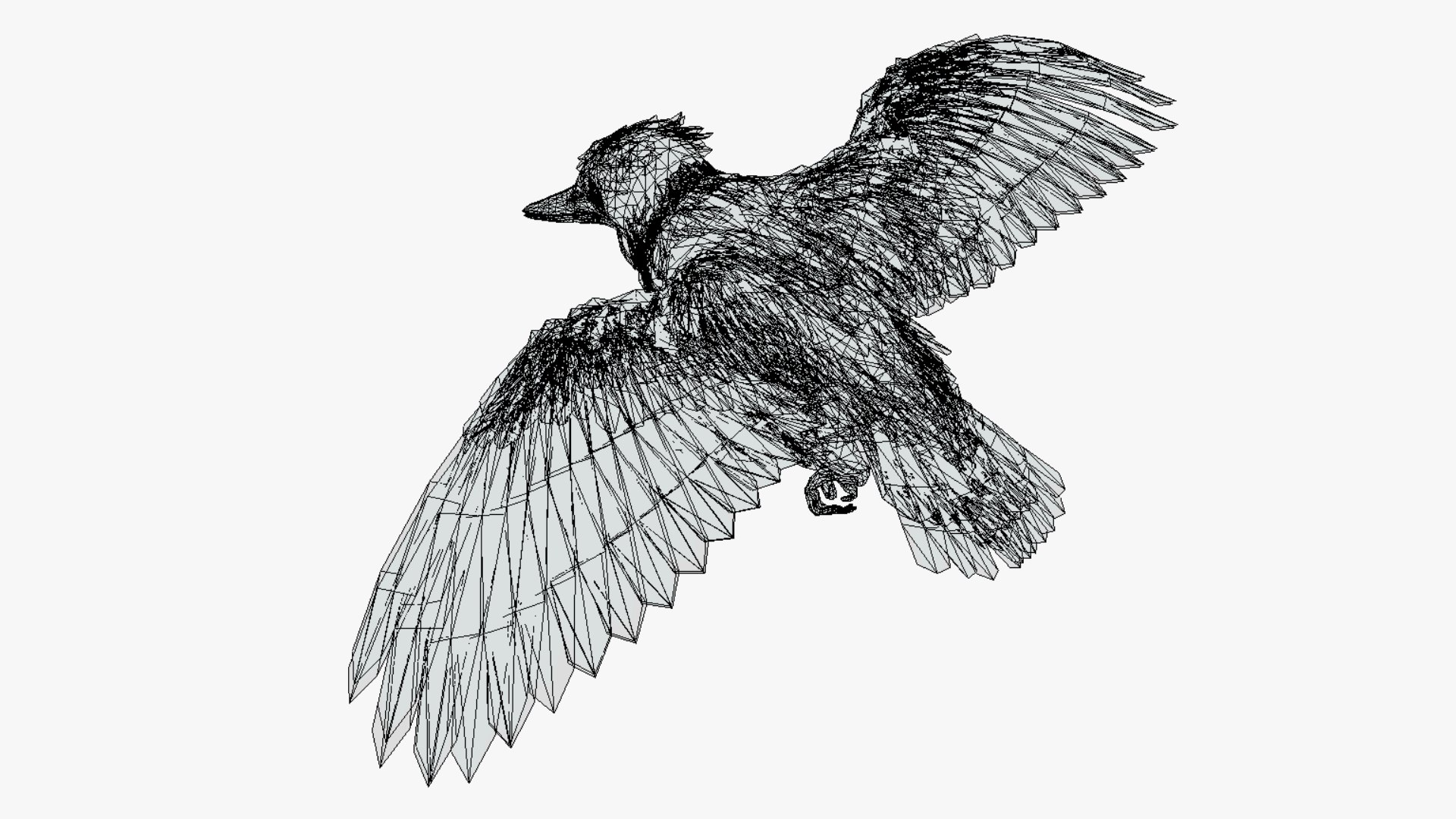 Bird Animation 3D Model - TurboSquid 2319824