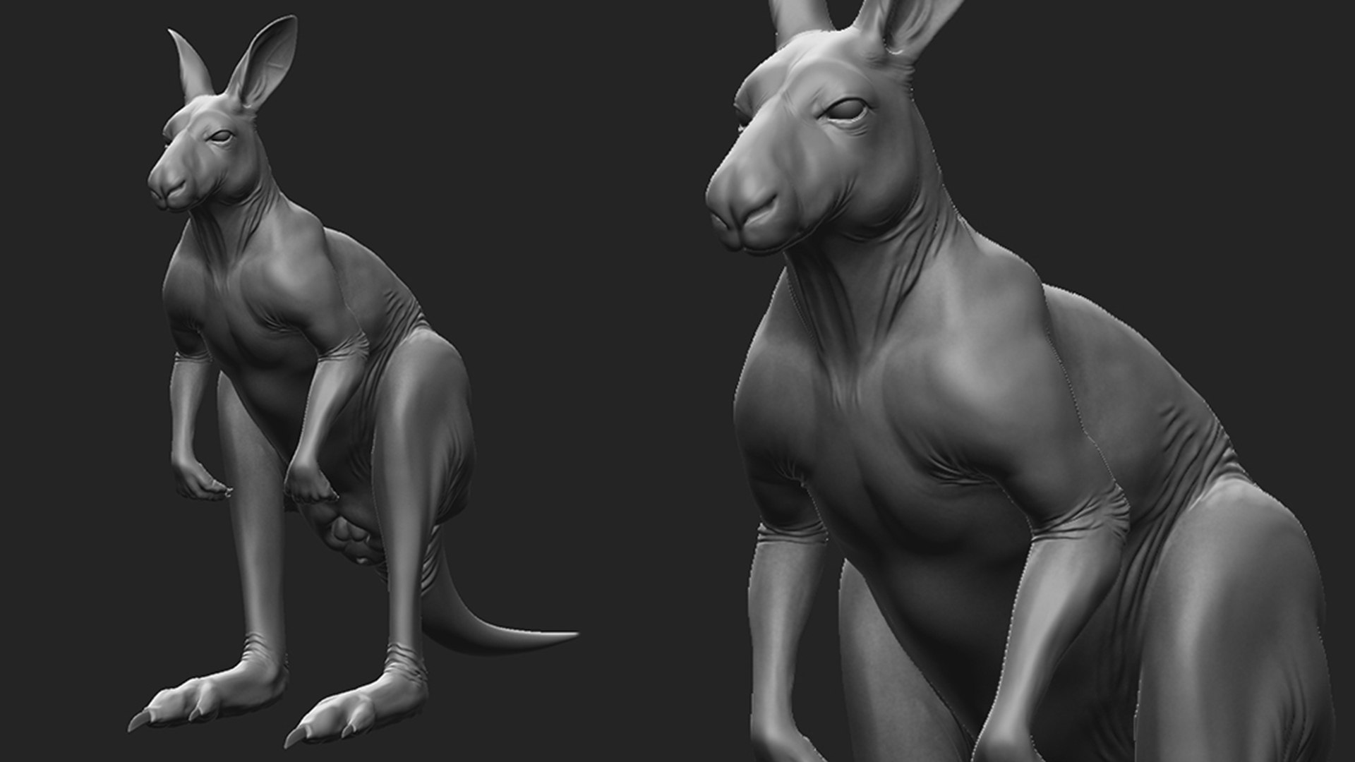 3D Kangaroo Male Model - TurboSquid 2239461