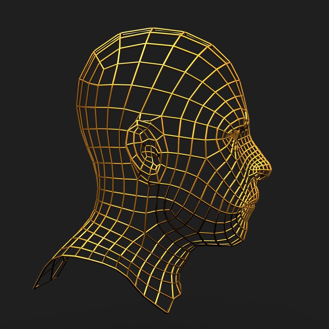Ma Wireframe Face Wire