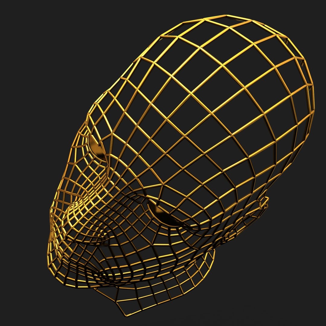 Ma Wireframe Face Wire