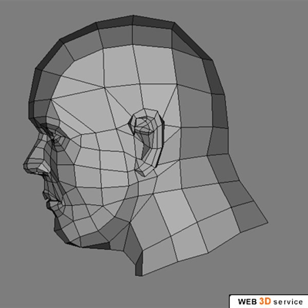 3d model male head 920 template