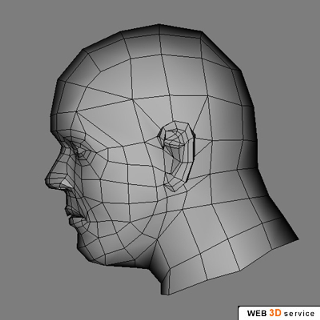 3d Model Male Head 920 Template