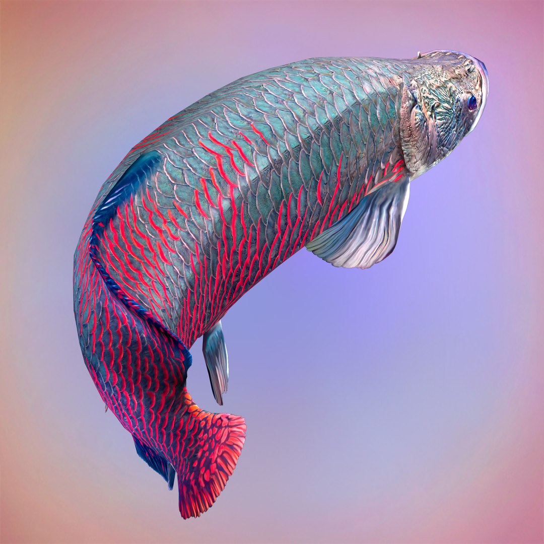 Fish Arapaima Gigas Low-poly 3D Model - TurboSquid 1923192