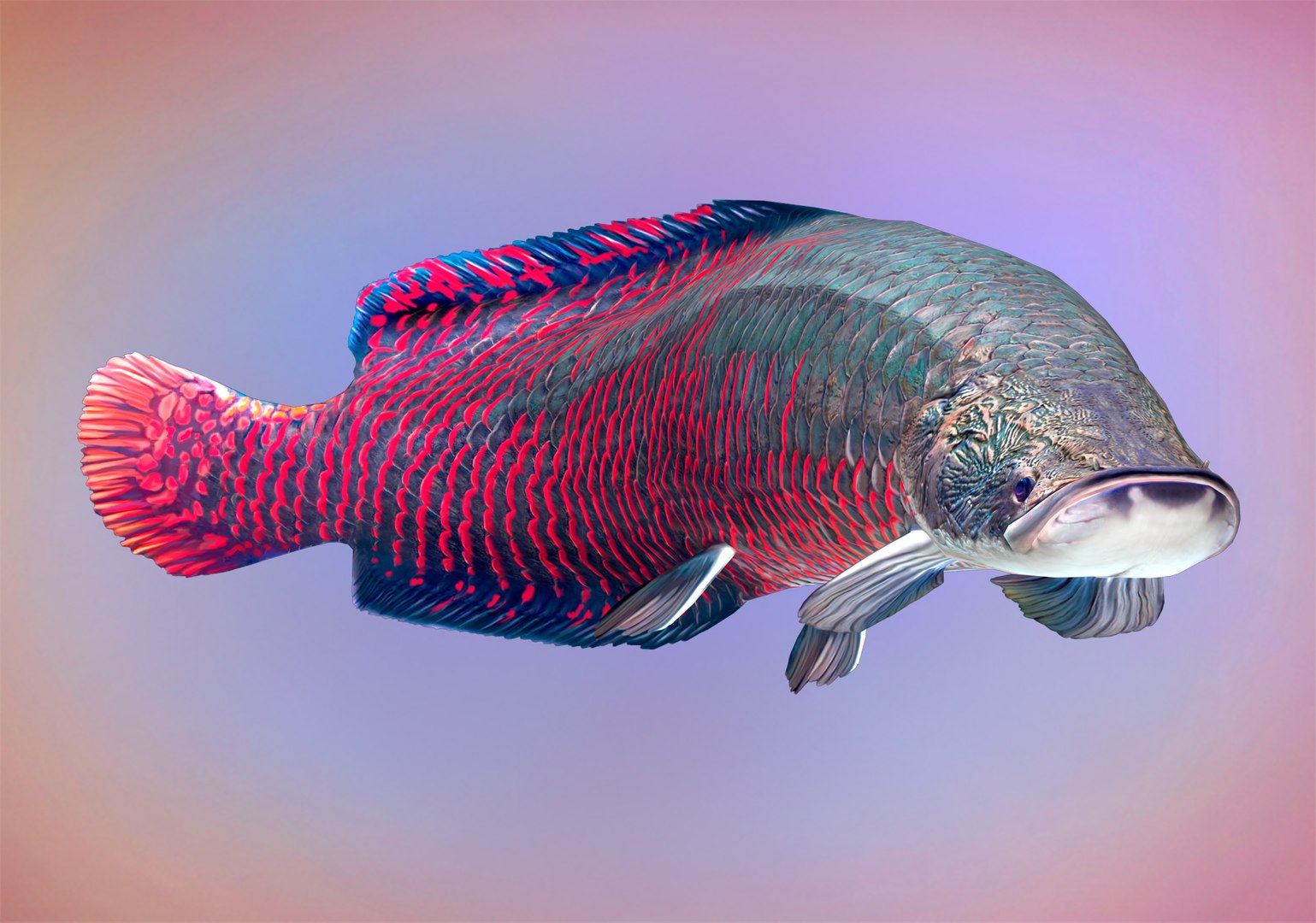 Fish Arapaima Gigas Low-poly 3D Model - TurboSquid 1923192