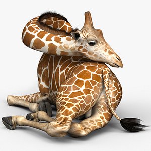giraffe 3d view google