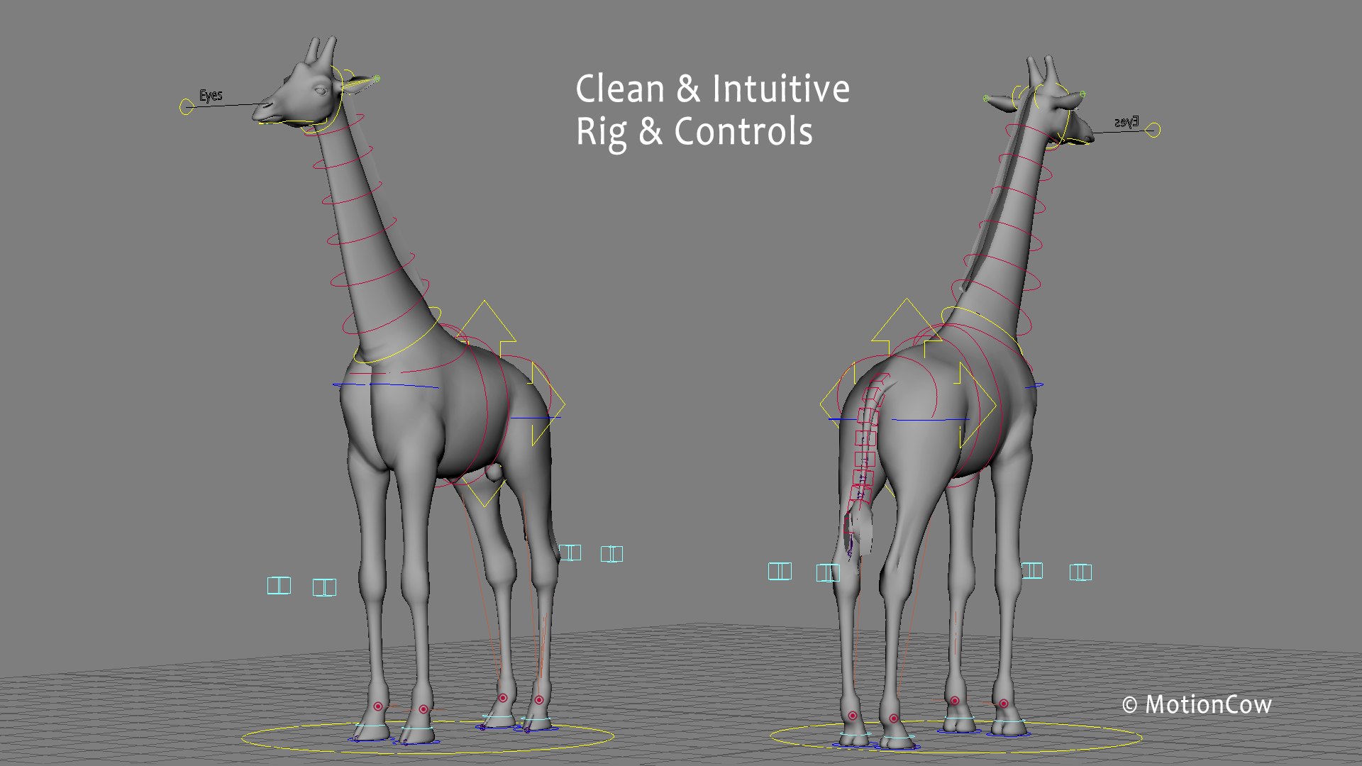 3D realistic rigged animation - TurboSquid 1436301