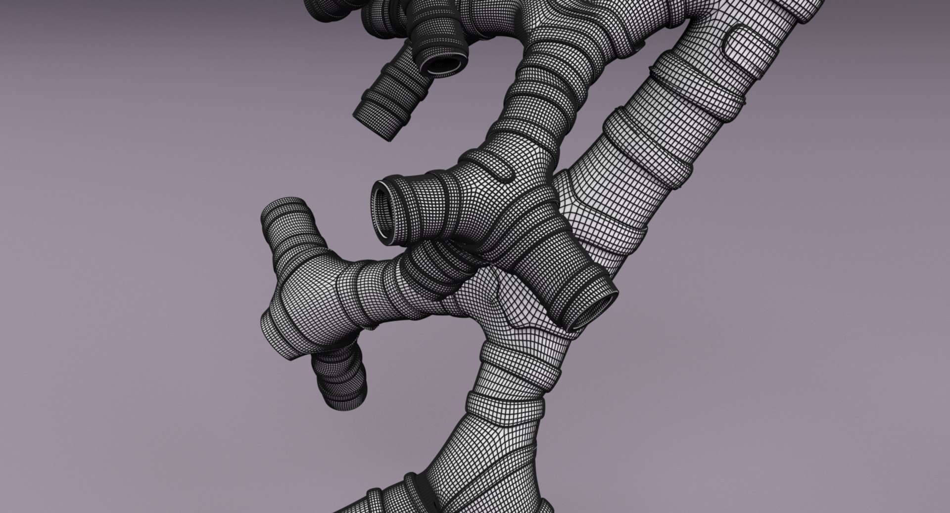 Larynx Trachea 3D Model - TurboSquid 1319878