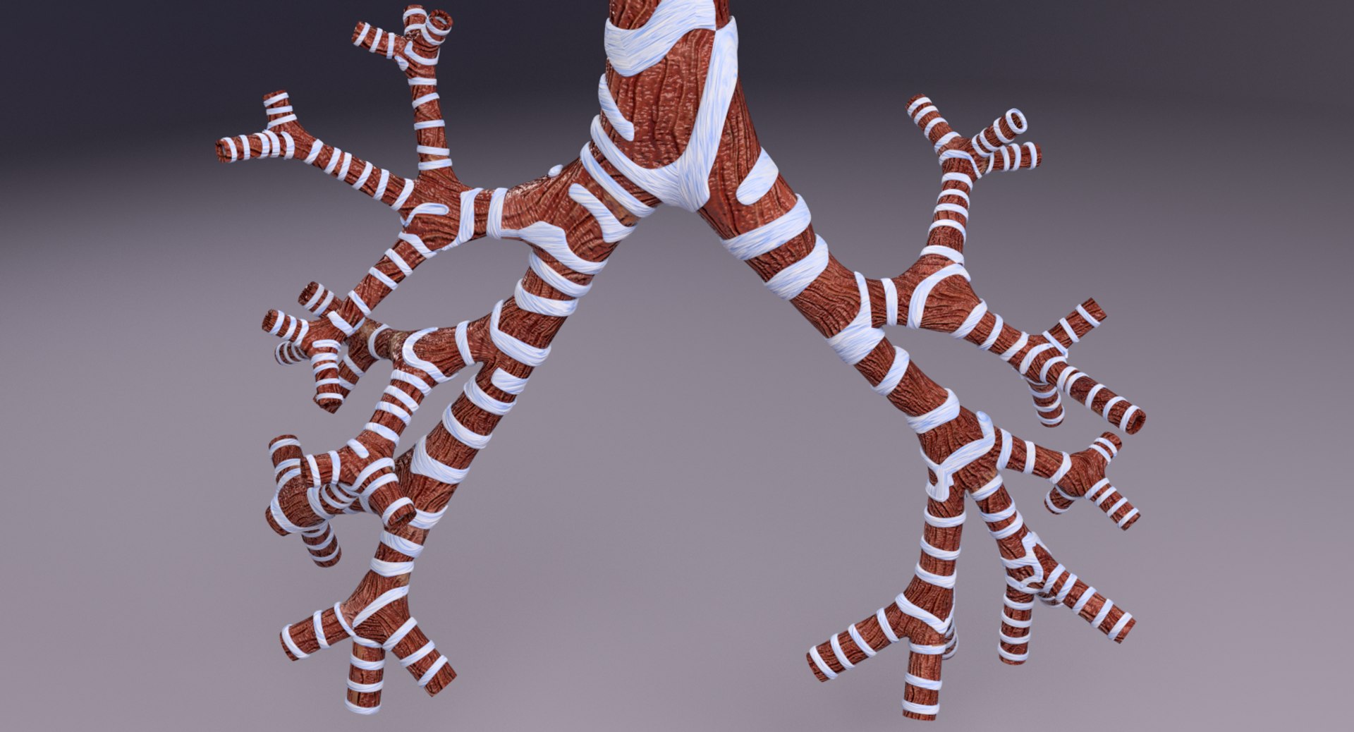 Larynx Trachea 3D Model - TurboSquid 1319878