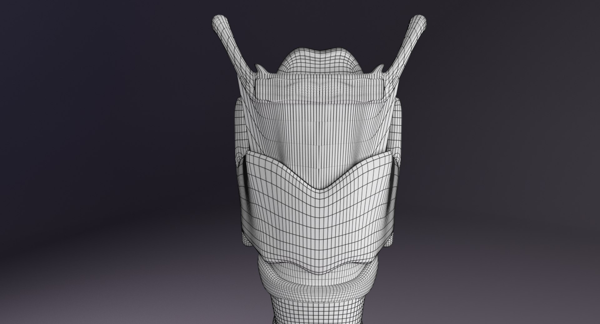 Larynx Trachea 3D Model - TurboSquid 1319878