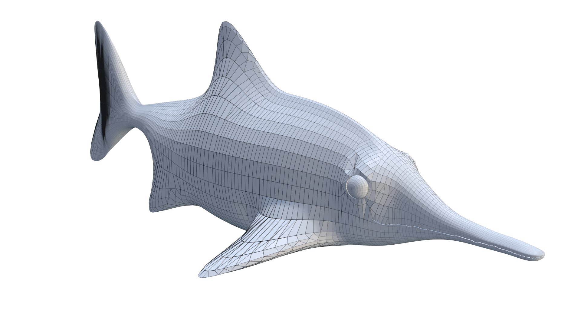3D Swordfish Fish 3D Model Model - TurboSquid 2313628