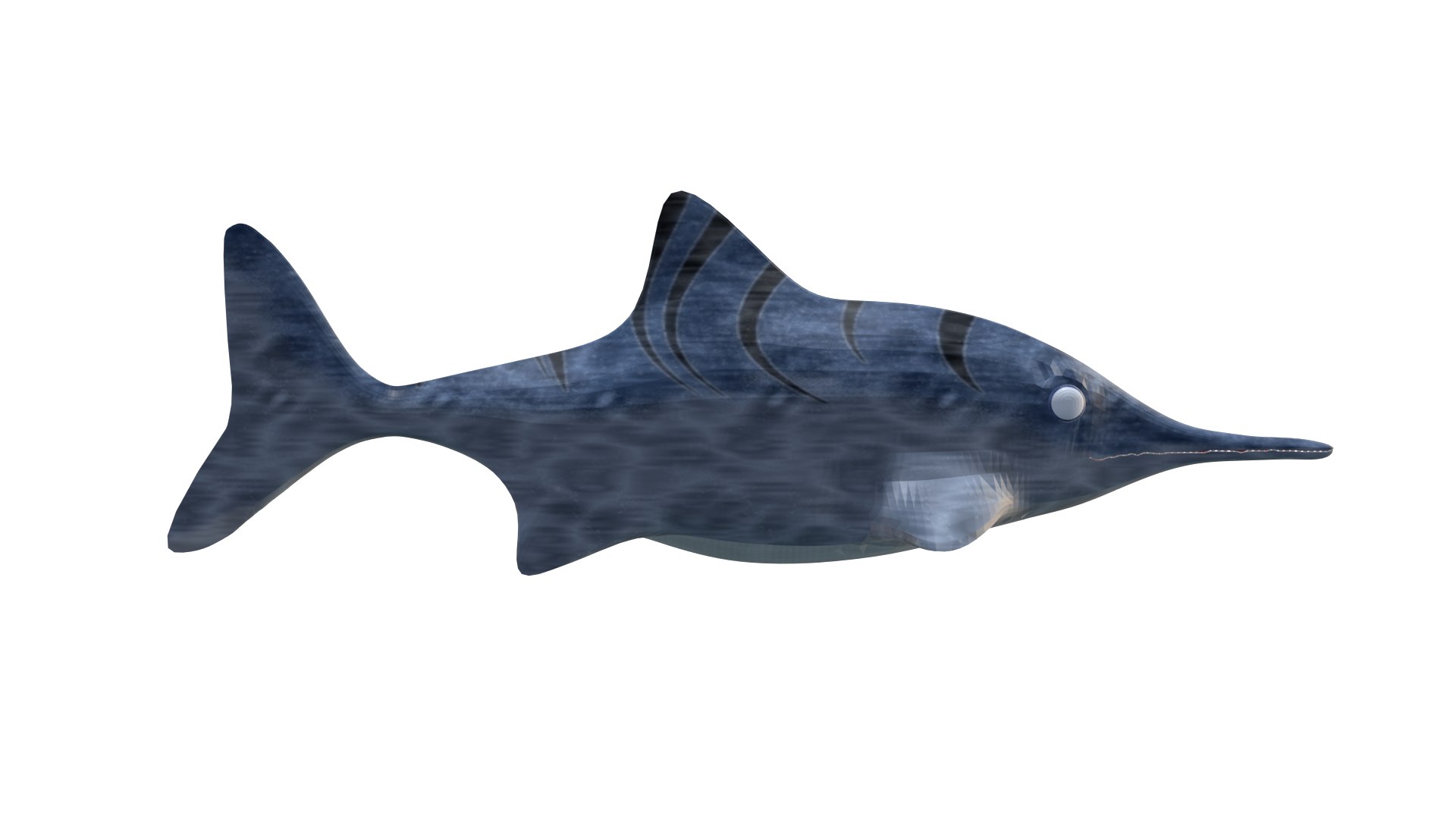 3D Swordfish Fish 3D Model Model - TurboSquid 2313628