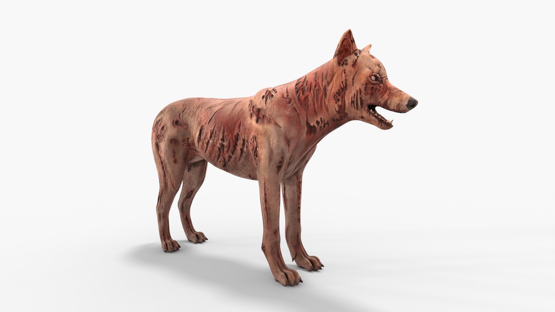 Zombie Dog 3D - TurboSquid 2148027