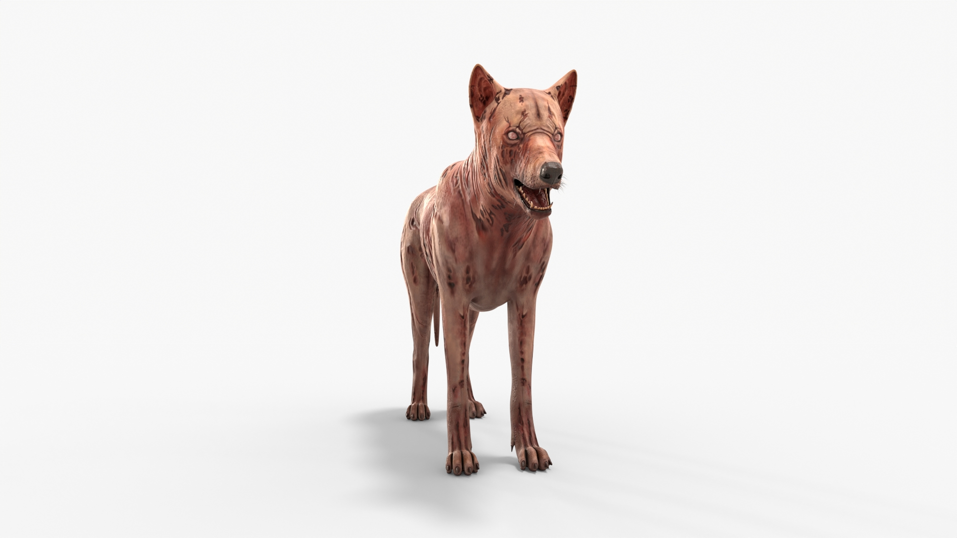 Zombie Dog 3D - TurboSquid 2148027