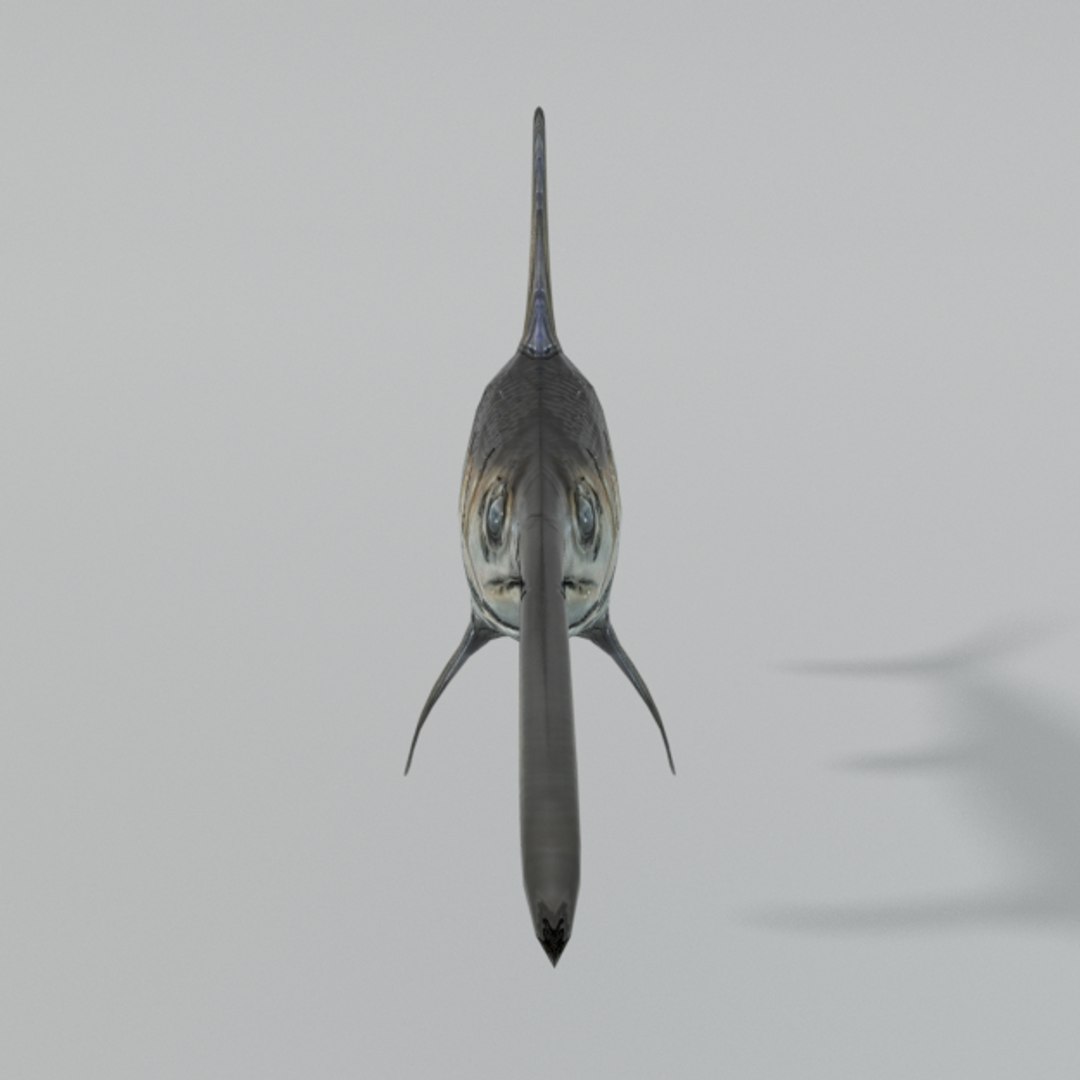 Fish swordfish model - TurboSquid 1316817