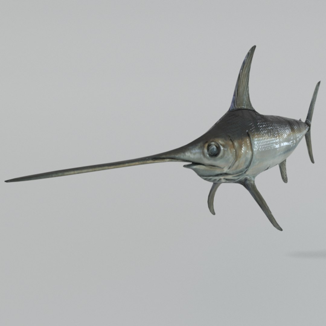 Fish swordfish model - TurboSquid 1316817