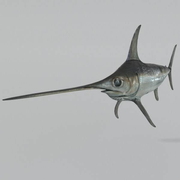 Swordfish 3D Models for Download | TurboSquid