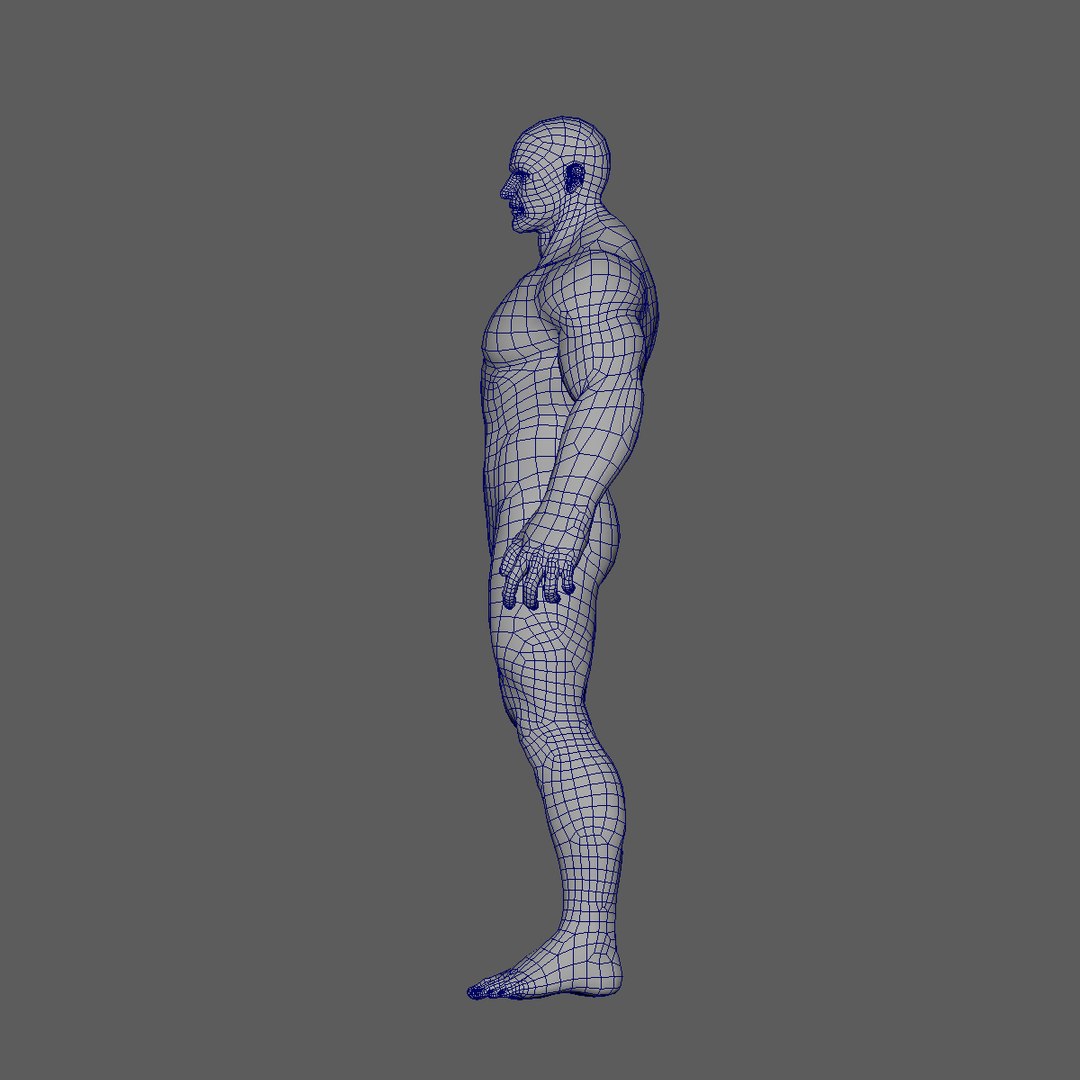 3D Model Man Base Highpoly - TurboSquid 1167004