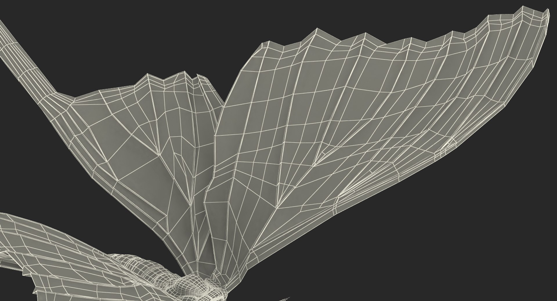 3d Model Comet Moth Flying Pose