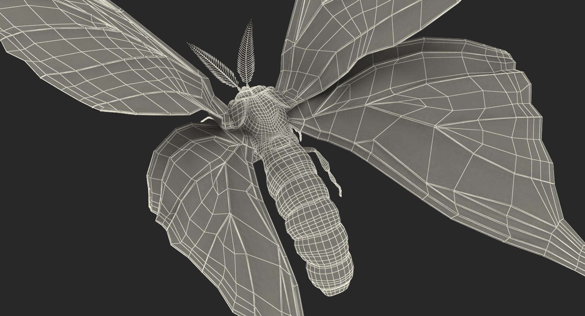 3d Model Comet Moth Flying Pose