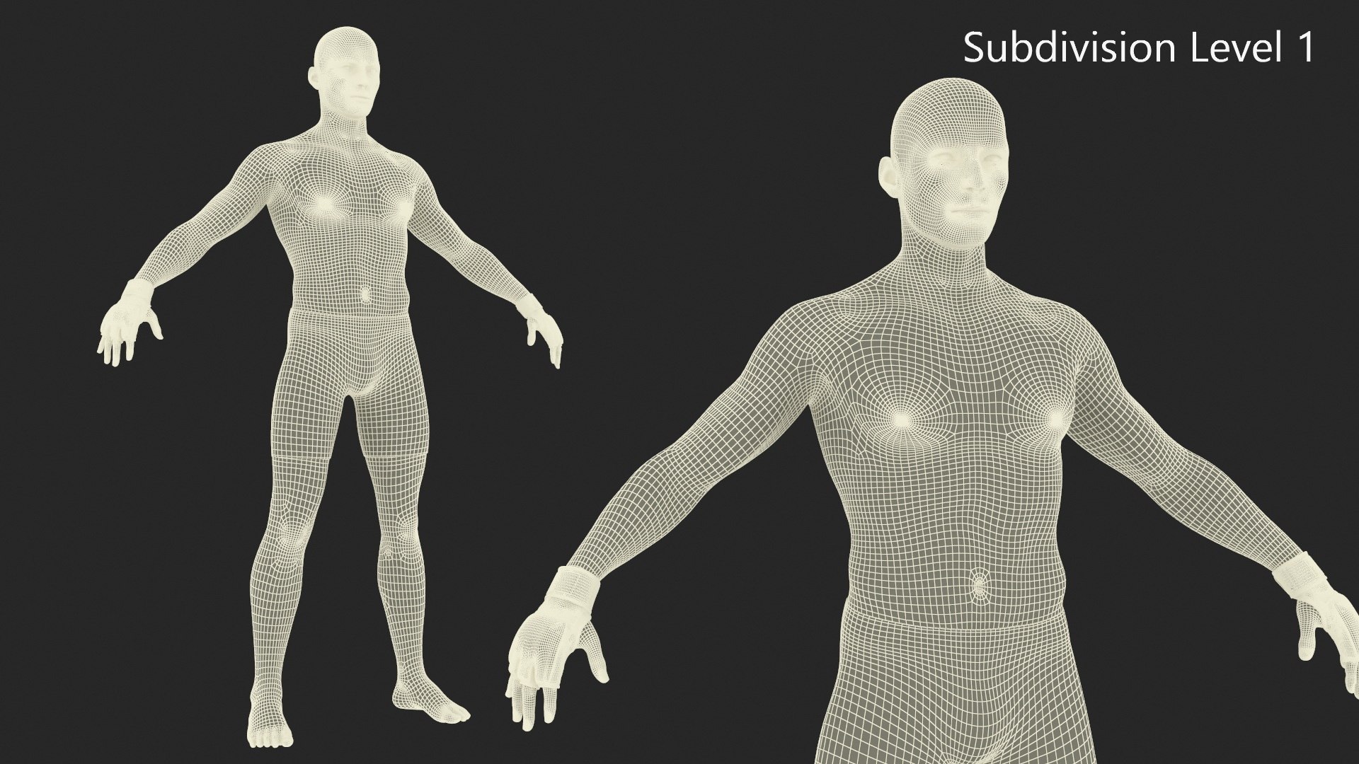 UFC MMA Fighter Character A-Pose Fur 3D Model - TurboSquid 2334010