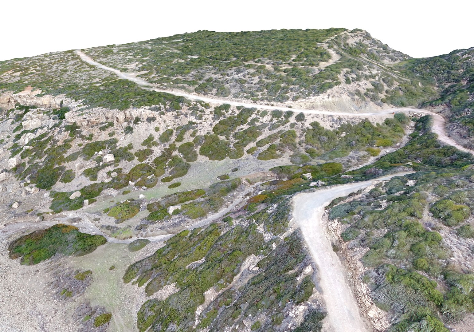 The Coast Of The Tropical Island 3D Model - TurboSquid 1833238
