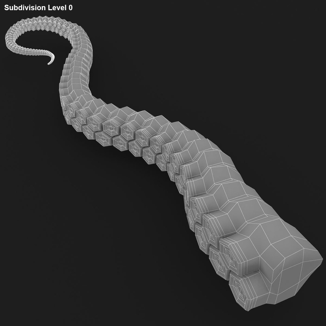 3D Model Realistic Octopus Tentacle Pose - TurboSquid 1227766