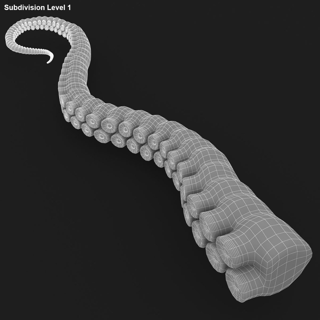 3D Model Realistic Octopus Tentacle Pose - TurboSquid 1227766