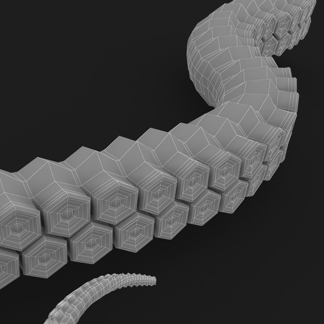 3D Model Realistic Octopus Tentacle Pose - TurboSquid 1227766
