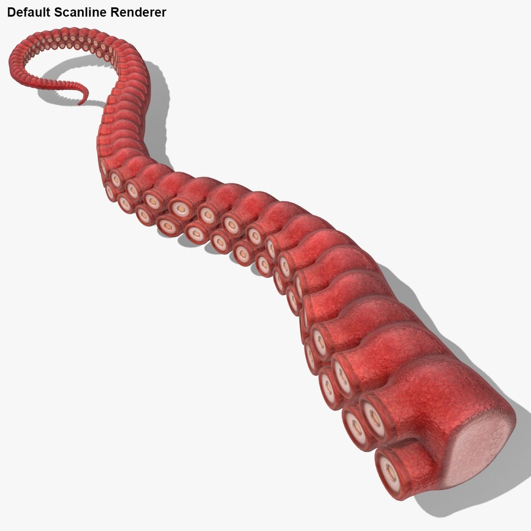 3D Model Realistic Octopus Tentacle Pose - TurboSquid 1227766