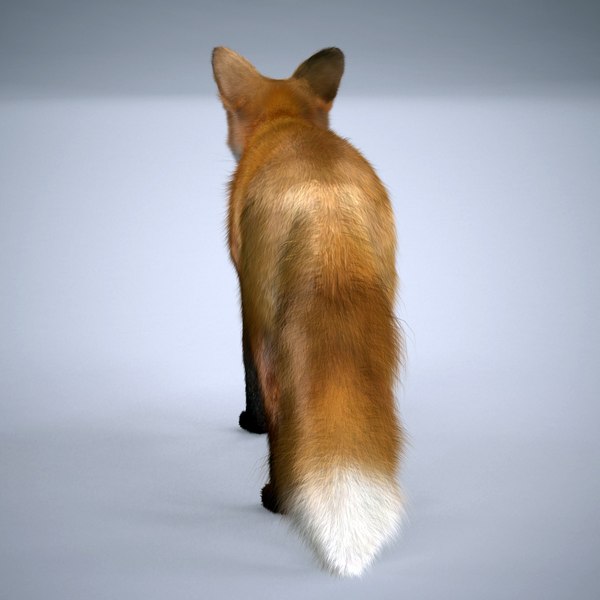 red fox 3d model