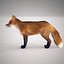 red fox 3d model