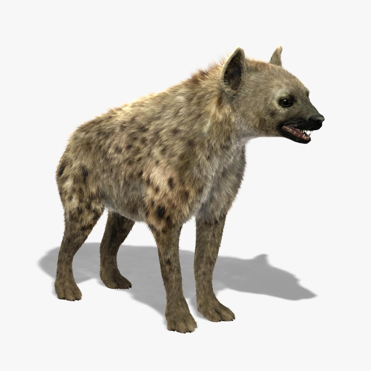 wild pack obj