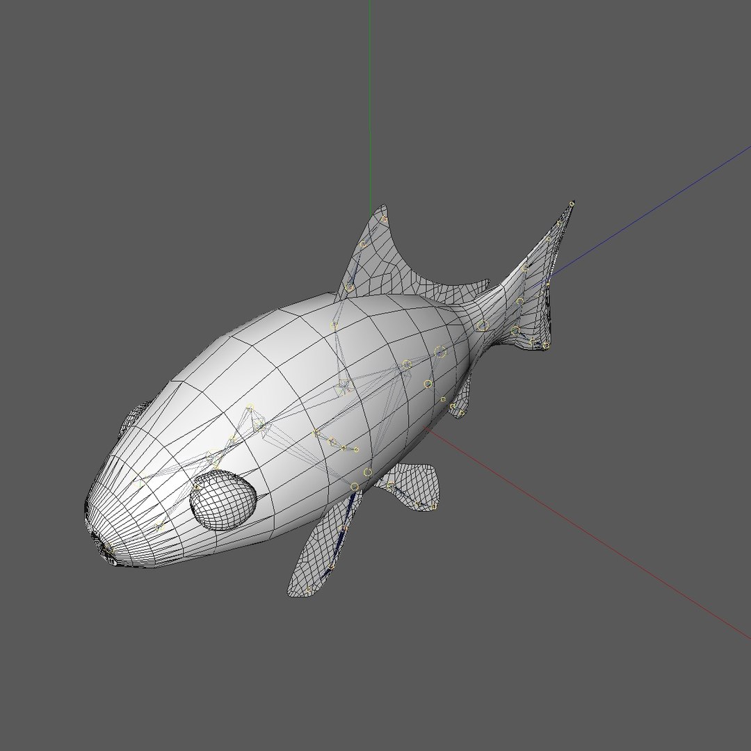 C4d Common Goldfish Animation