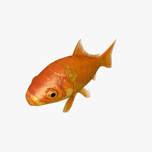 Common Goldfish Fish Bowl 3d C4d