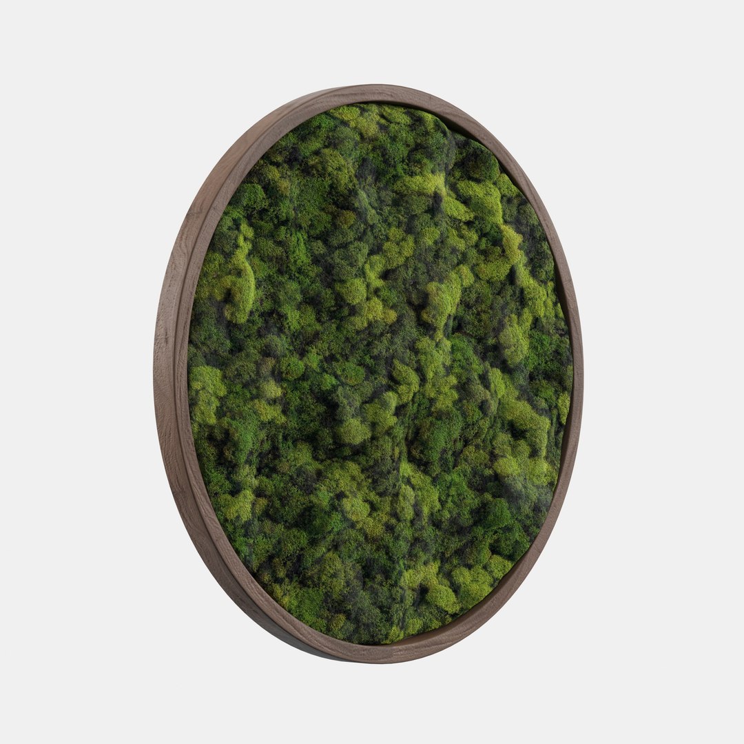 3D decorative moss plant model - TurboSquid 1400693