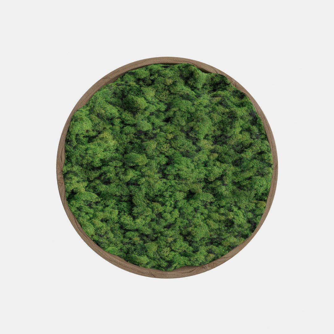 3D decorative moss plant model - TurboSquid 1400693