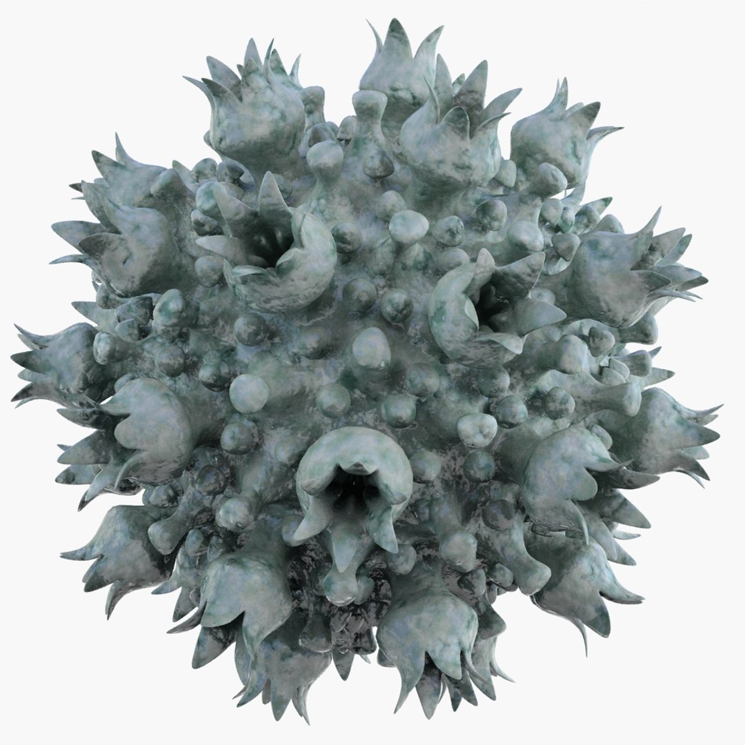 3d Micro Object Mht Model