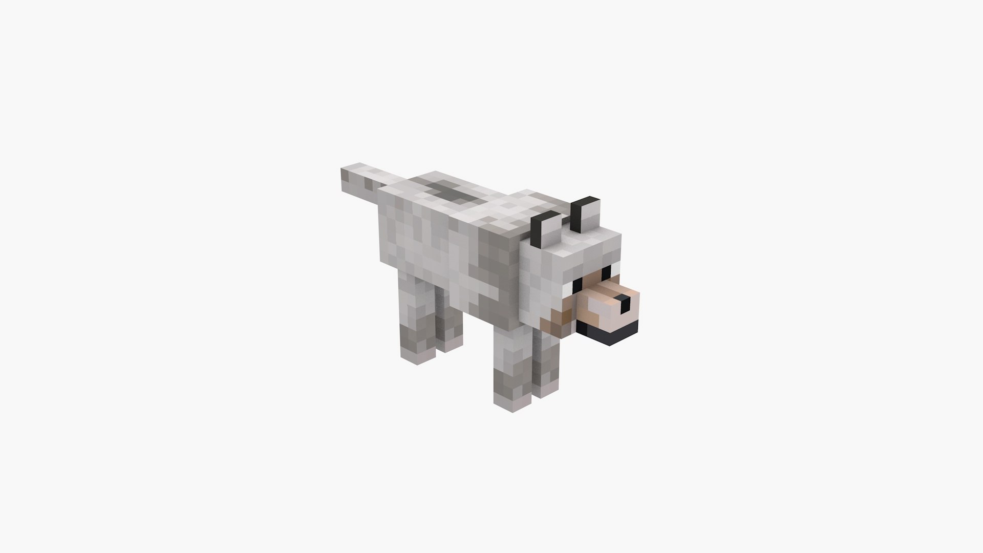 3D Model Wolf Minecraft - TurboSquid 2364751