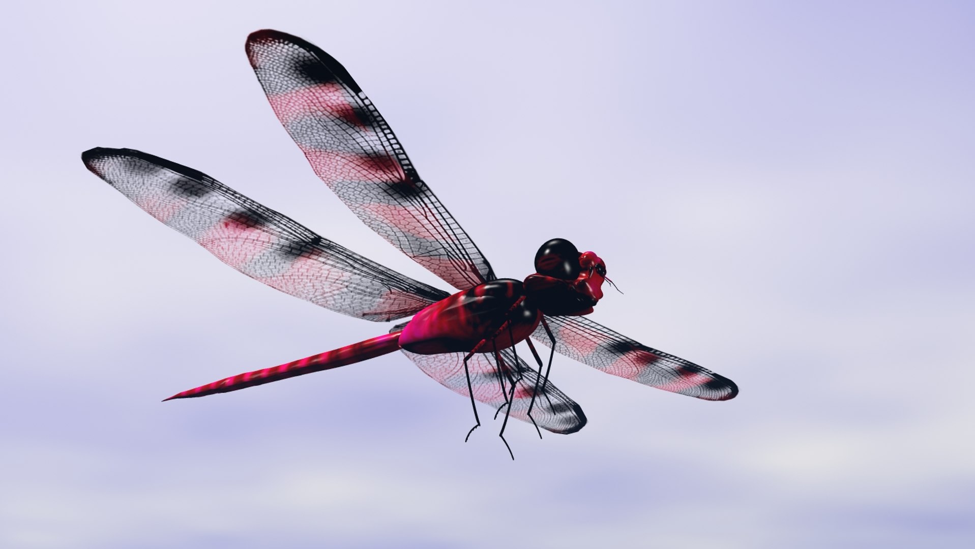 Dragonfly Fly Obj