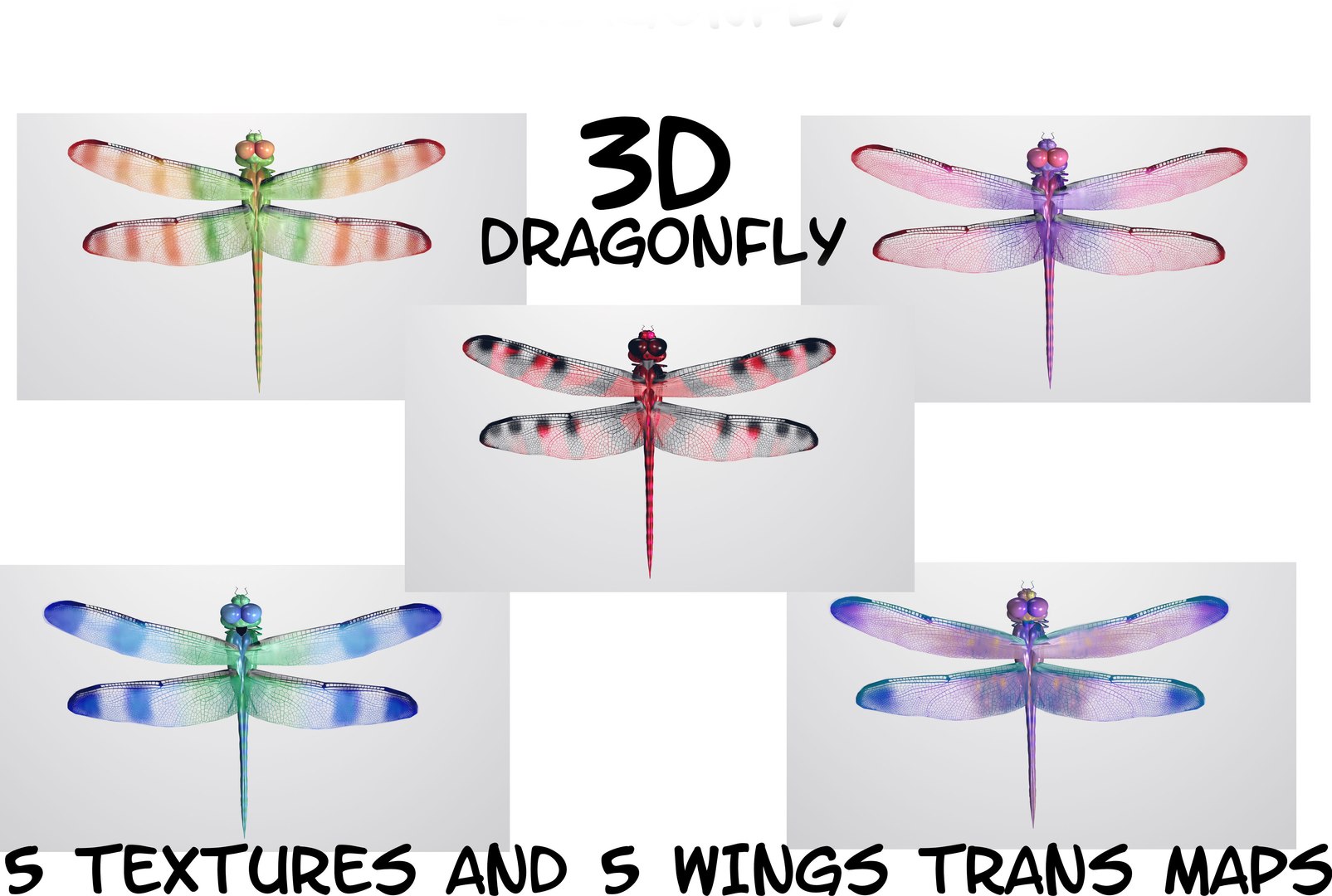 Dragonfly Fly Obj
