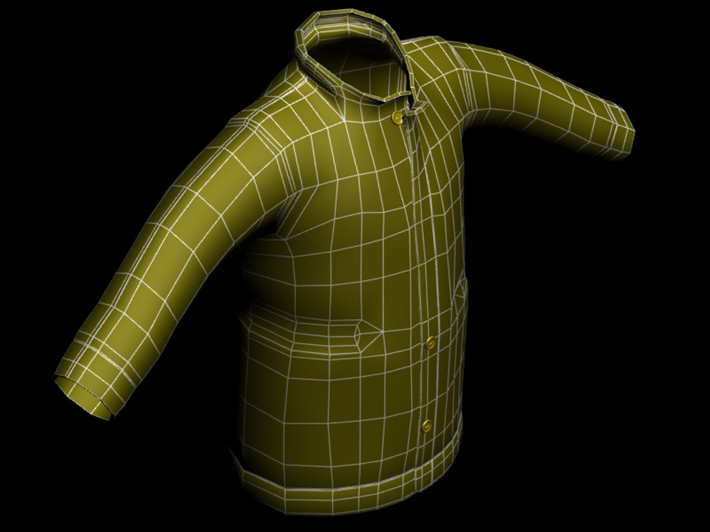 3d Winter Jacket