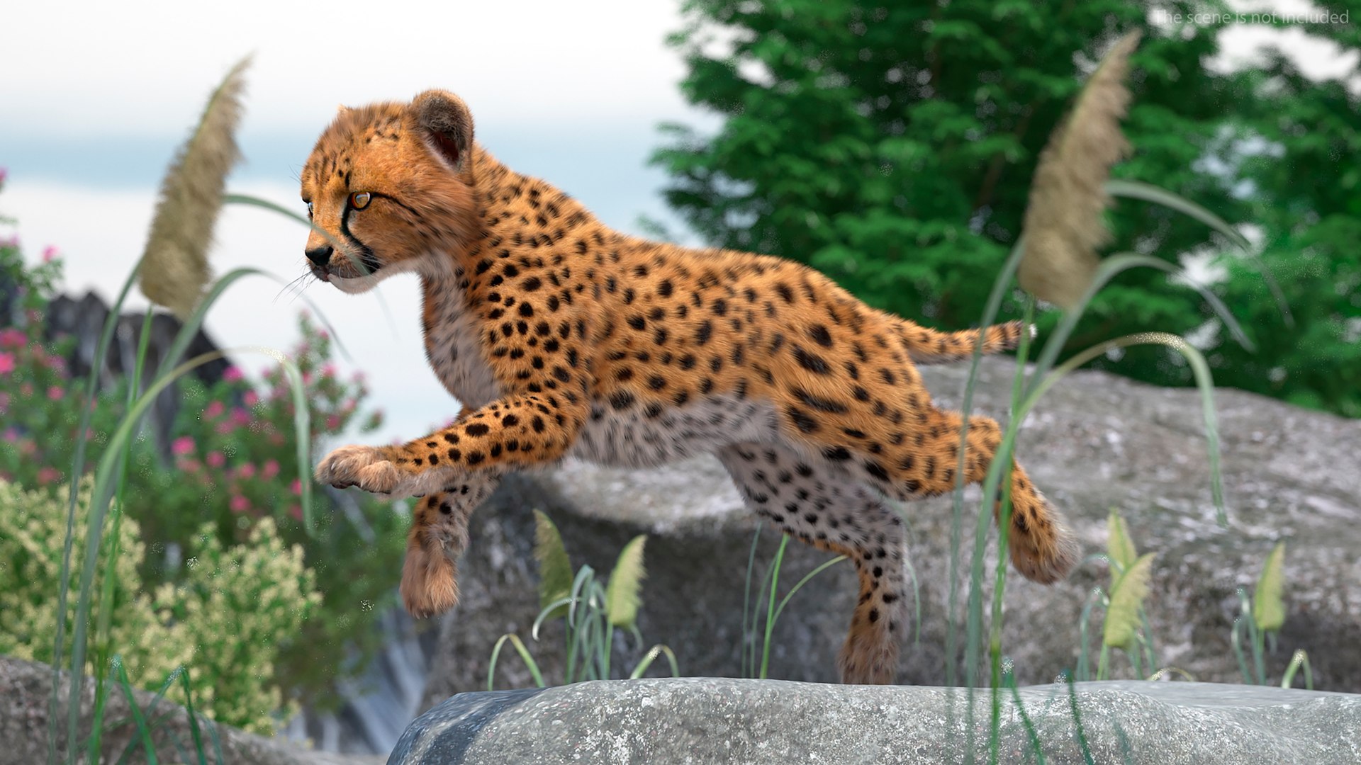 Cheetah Cub Fur Rigged 3D Model - TurboSquid 2359079