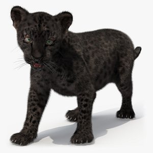 3D Leopard Models - Browse & Download Formats - TurboSquid