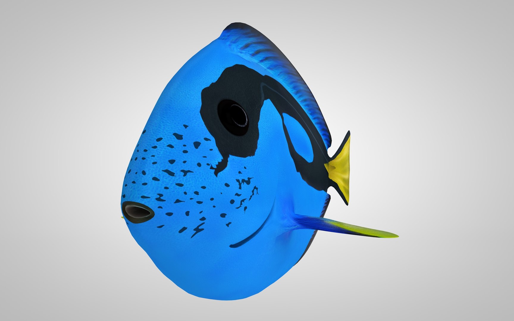 Blue - 3d Model