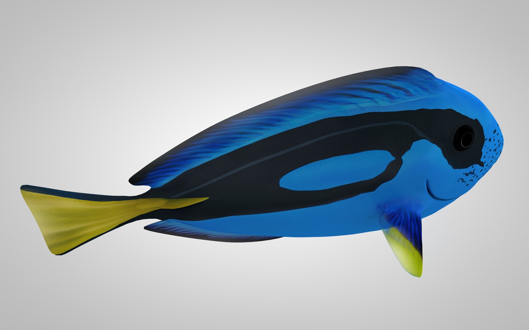 Blue - 3d Model