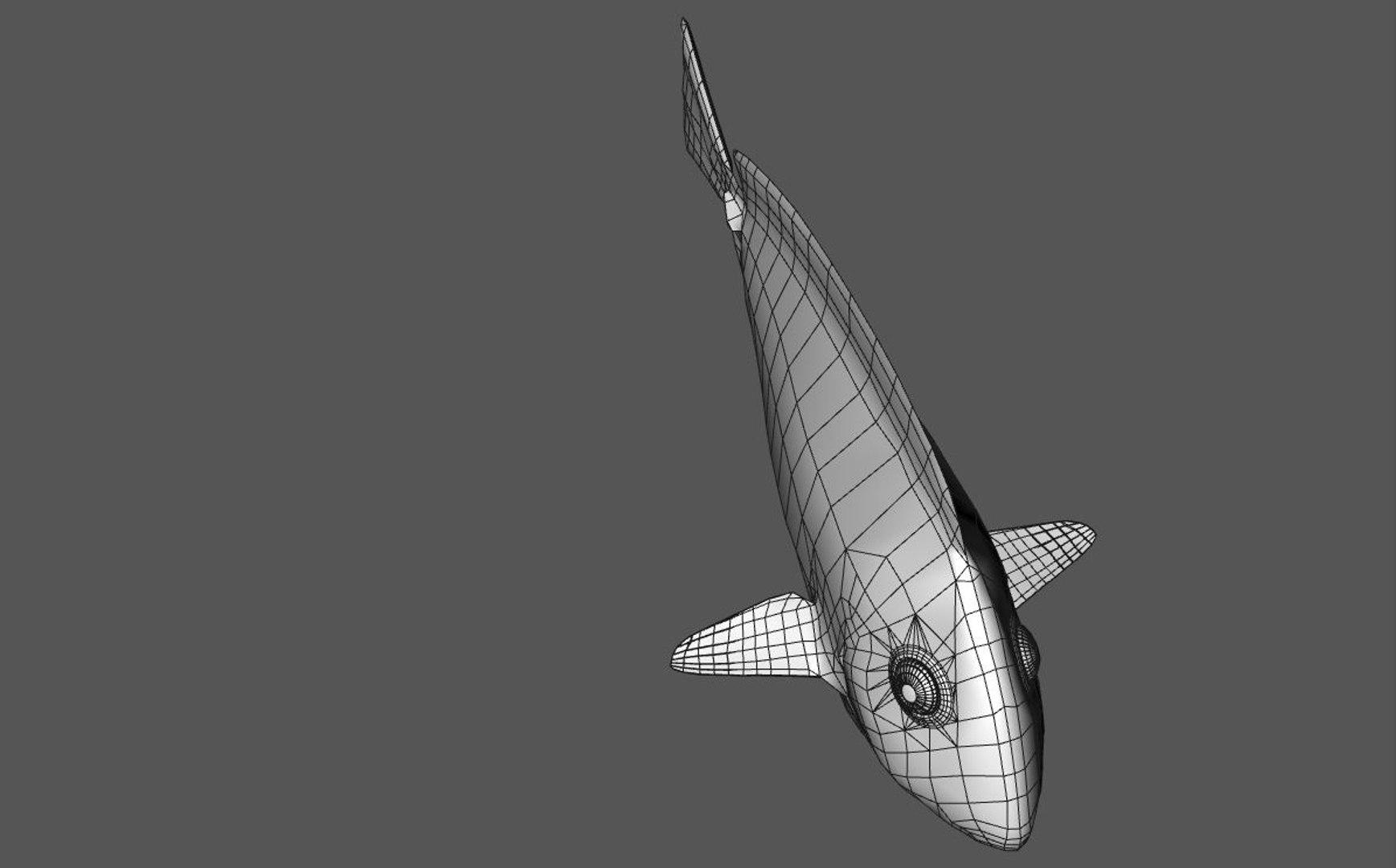 Blue - 3d Model