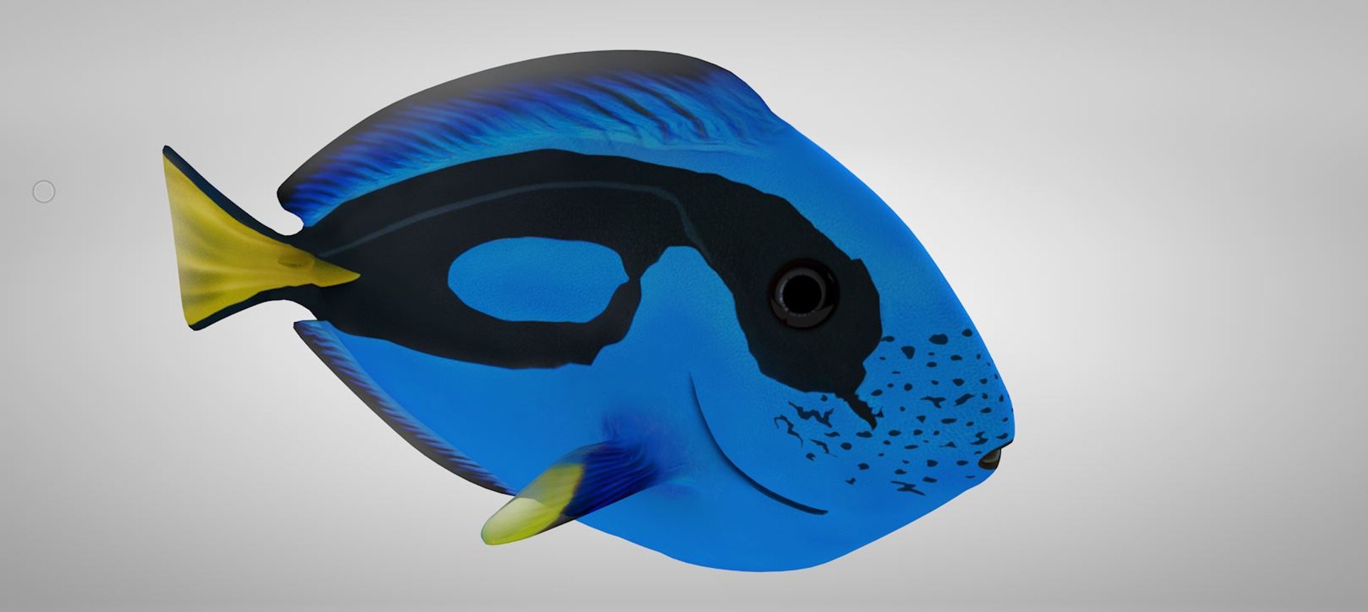 Blue - 3d Model