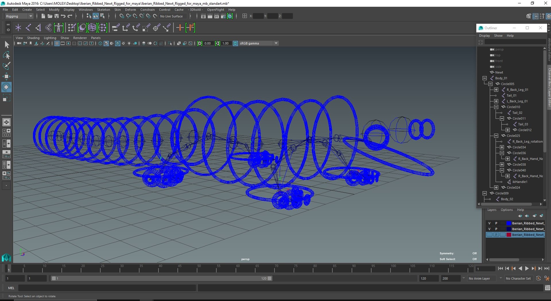 3D Model Iberian Ribbed Newt Rigged For Maya - TurboSquid 2157545